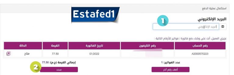 الاستعلام عن فاتورة الارضي والدفع في 3 ثوانٍ – estafed1